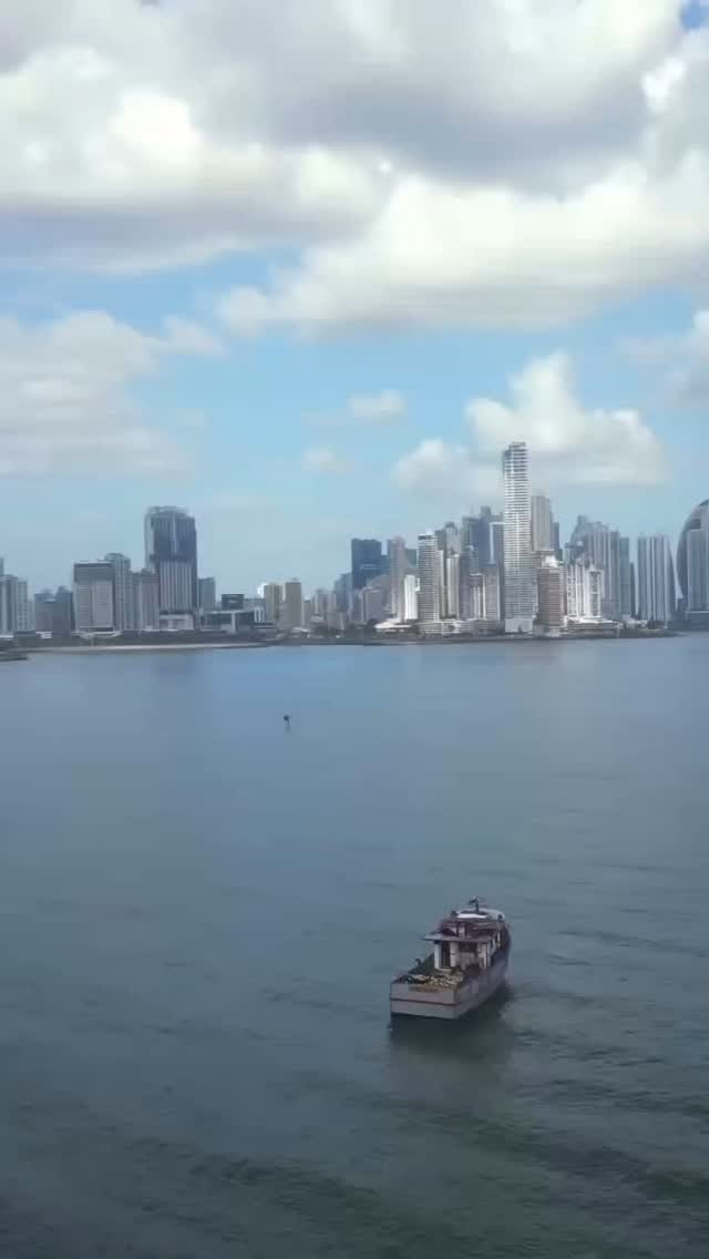 Odila Castillo Bonilla, Carlos Allen Y Transeq, La Historia