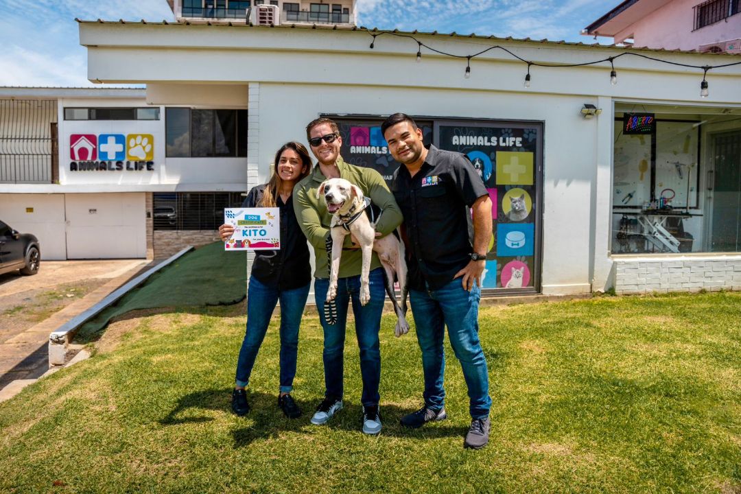 Mayer Mizrachi Y Tina Donan 5 Mil Dólares A Veterinaria Por Salvar A Tinakito Y Otros Perros De ...