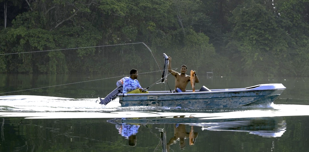 Panamá Ratifica Acuerdo De La OMC Para Eliminar Subsidios A La Pesca Y ...