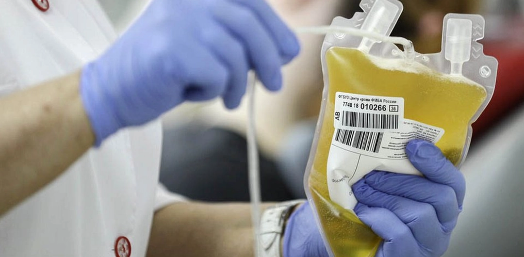 Sangre Dorada: El Misterio Genético Del Rh Nulo Y Su Impacto En La Medicina