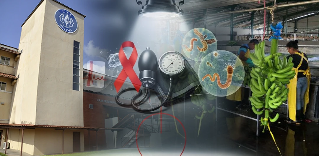 La CSS Detecta Diagnósticos Críticos En Trabajadores De Bocas Del Toro ...